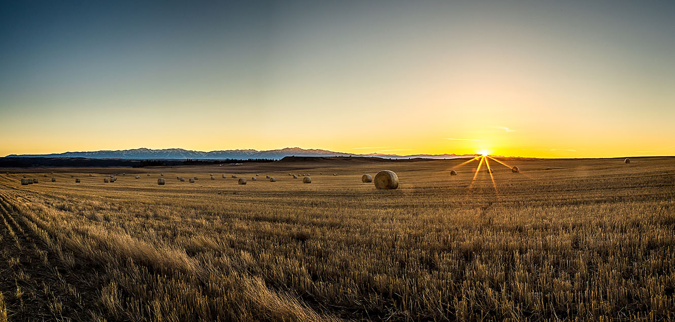 Western Security Bank - Billings - Checking, Savings, Loans, Mortgage